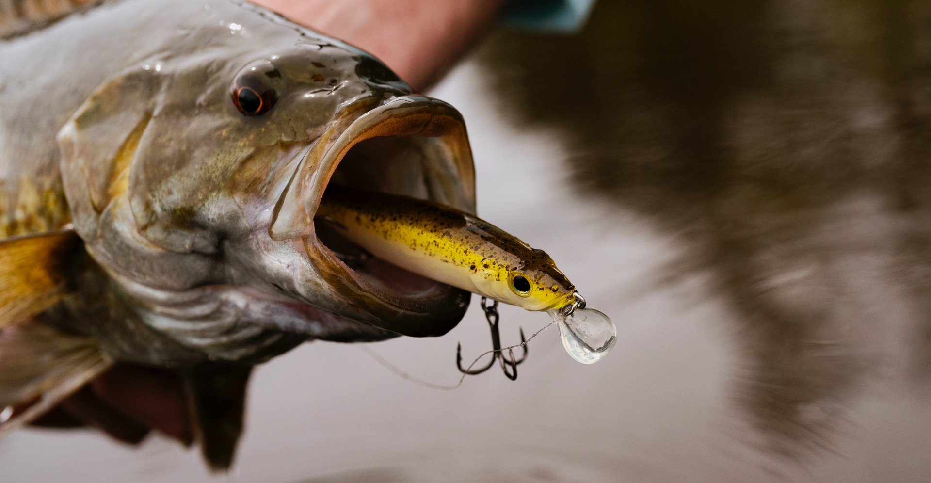 Bill Lewis Lures | The Undisputed King of Lipless Crankbaits!