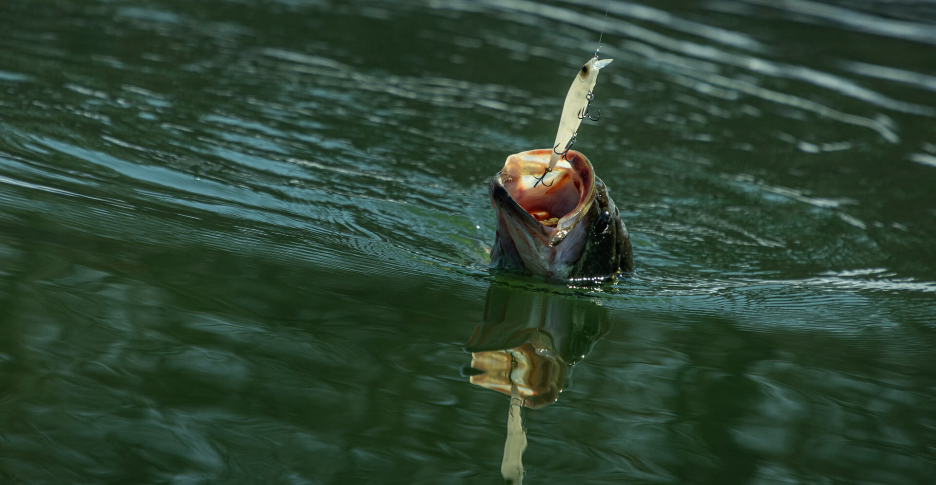 Bill Lewis Lures | The Undisputed King of Lipless Crankbaits!